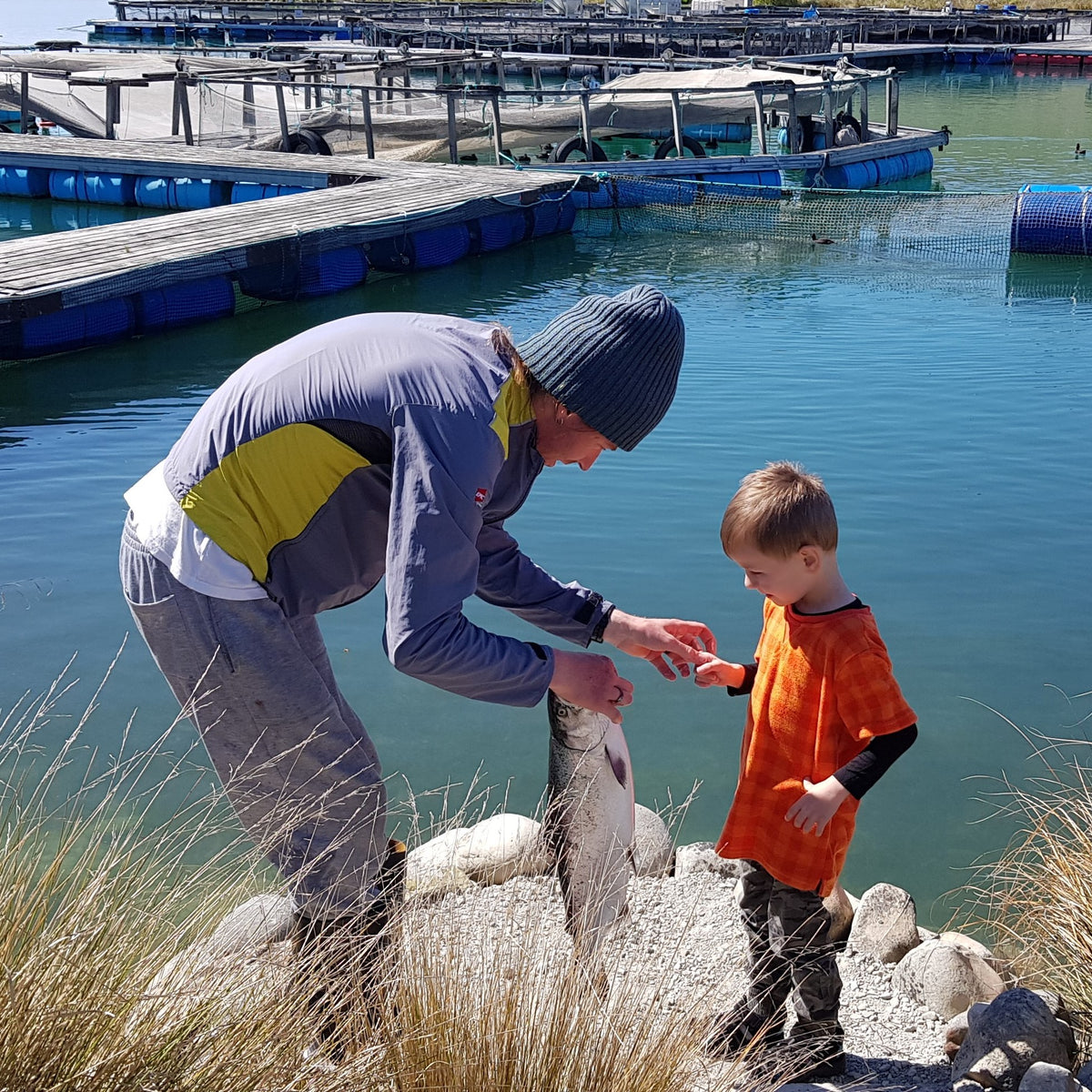 Catch-A-Fish Experience – High Country Salmon Ltd