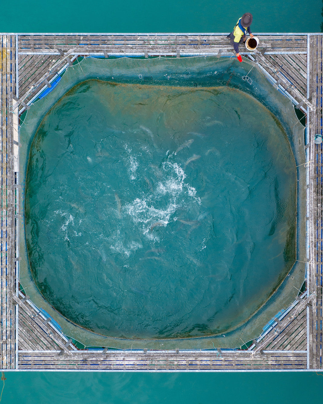 Farm Talks – High Country Salmon Ltd