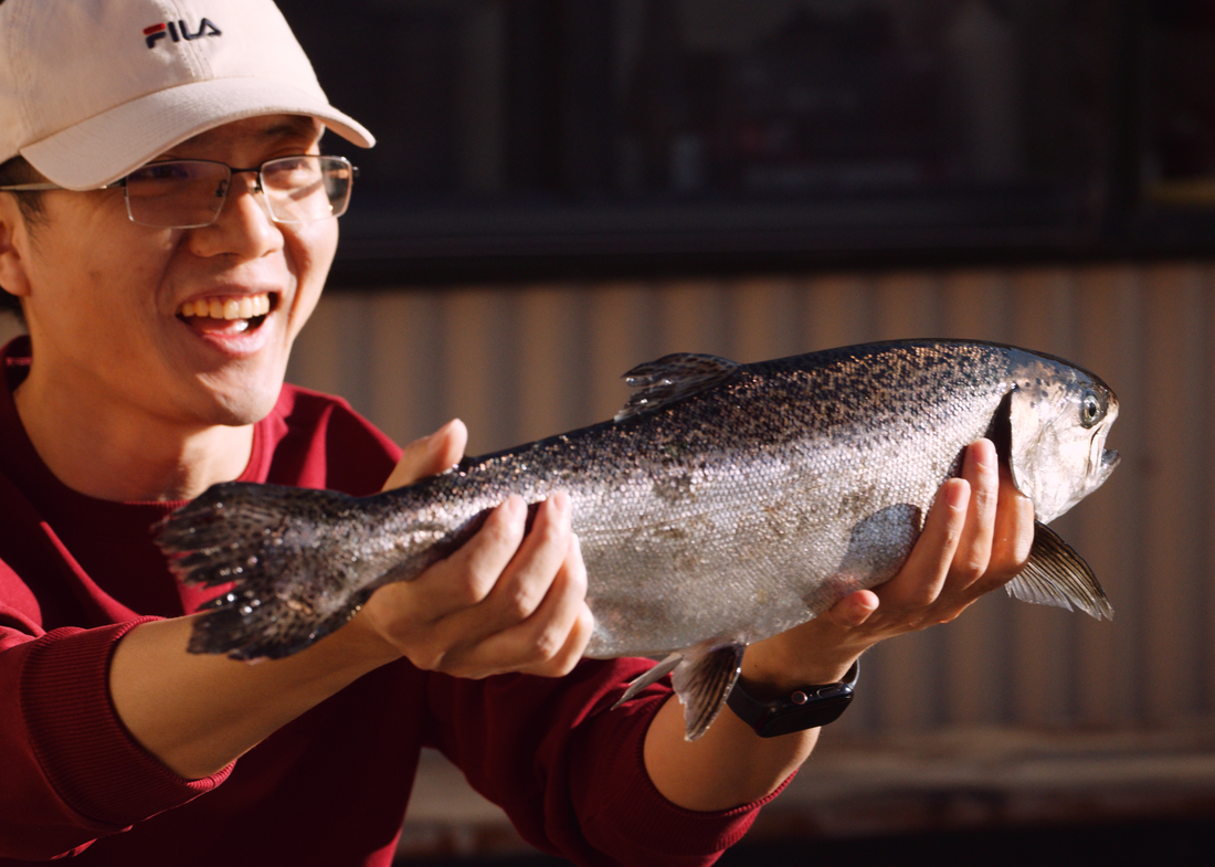 Catch-A-Fish – High Country Salmon Ltd