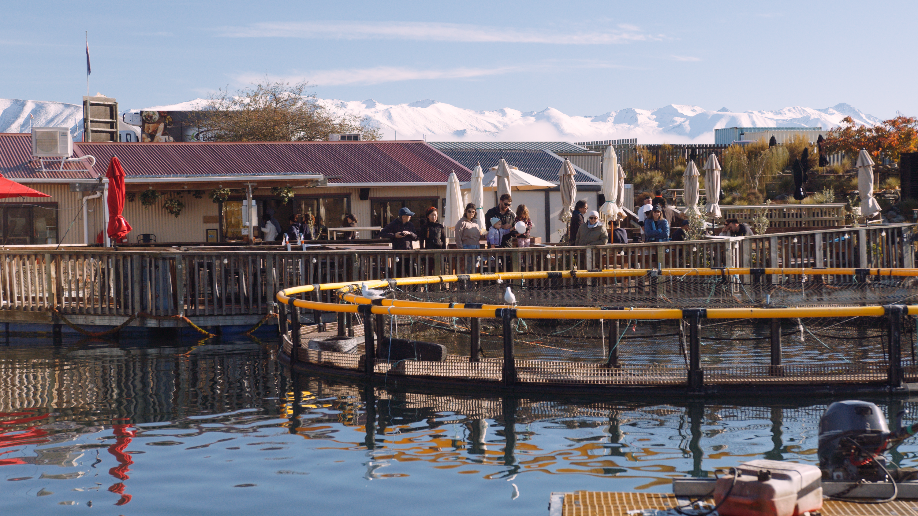 Activities – High Country Salmon Ltd